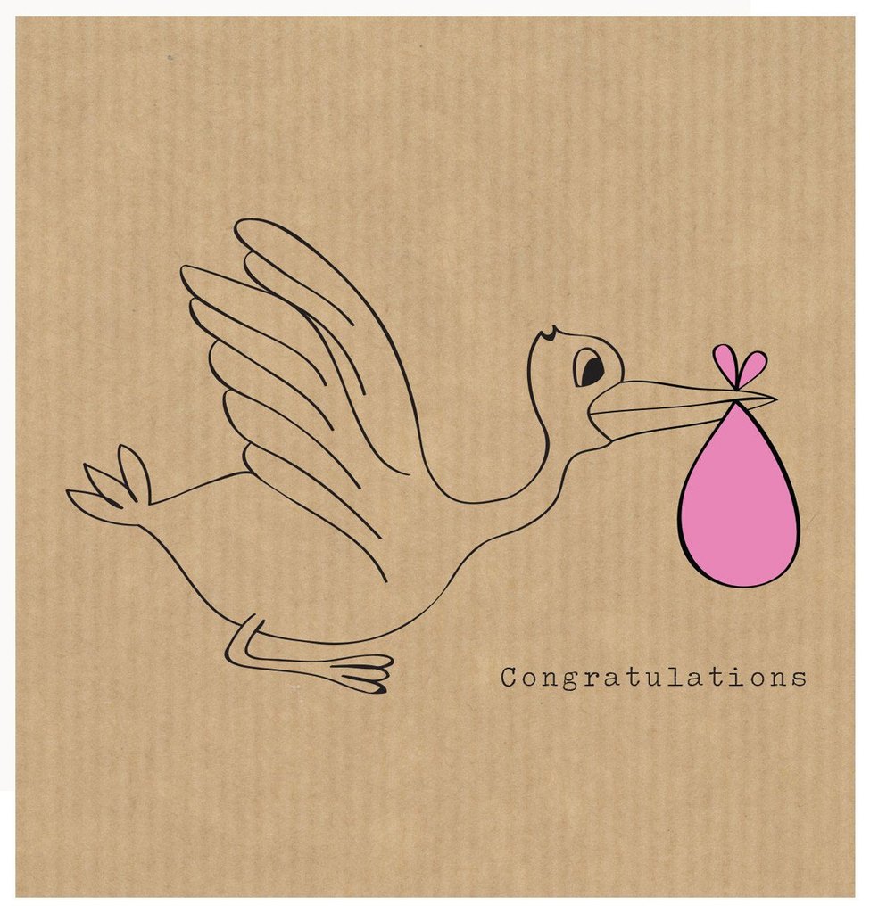 The Little Card Factory Pink Stork Card – Little Trooper Limited